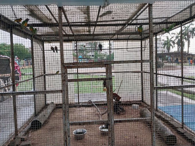 JJT Park Ikeja: My Experience and Review - Nzepro